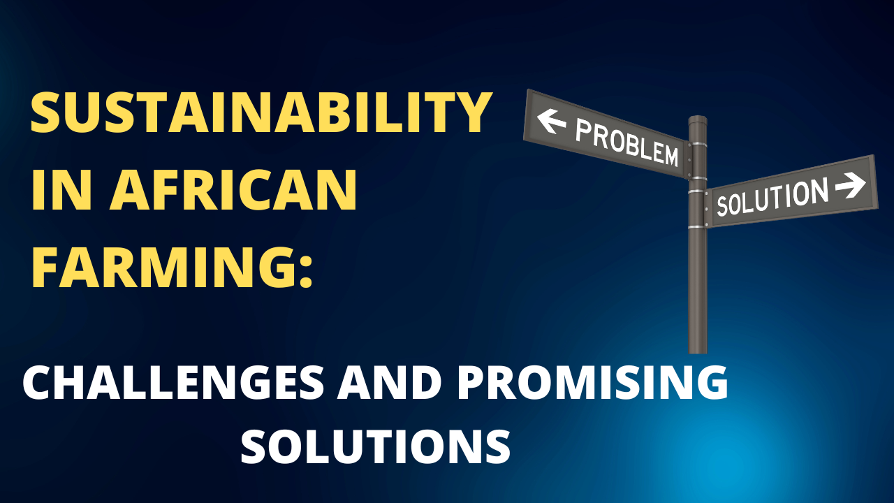 Sustainability in African Farming: Challenges and Promising Solutions ...